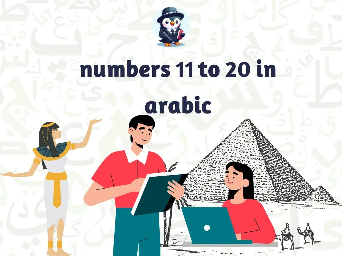 numbers 11 to 20 in arabic pronunciation & writing | Storylingo